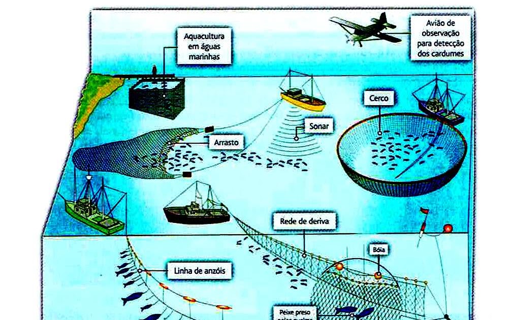 netgeografiapaz: pesca moderna.industrial - características impactos 2
