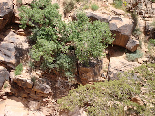 Monts des Ksour: Parc du Djebel Aïssa