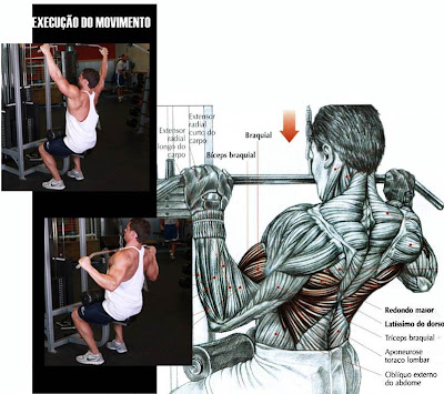 Os Melhores Exercícios para As Costas ~ Boa Forma Fitness