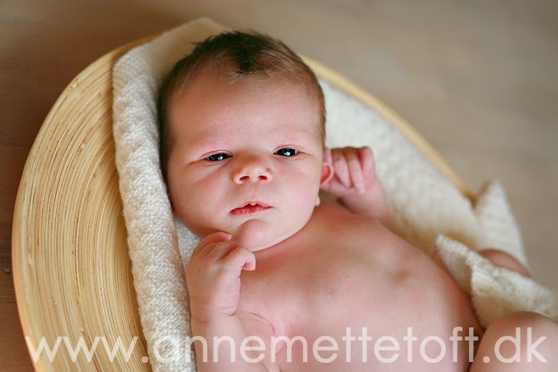 Anne Mette Toft: september 2008