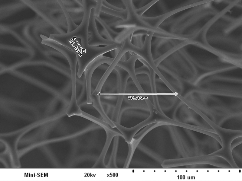 SEC - Scanning Electron Microscope: Mini-SEM Image - Foamed Plastic