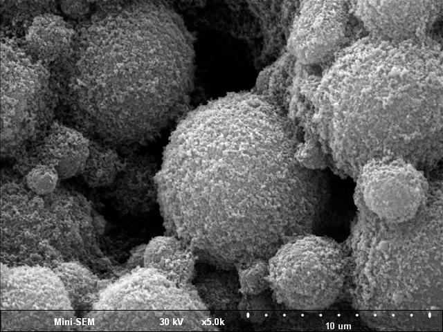 SEC - Scanning Electron Microscope: Battery Electrode Powder - Mini-SEM ...