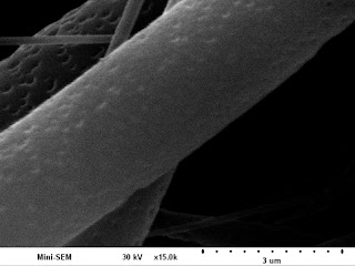 SEC - Scanning Electron Microscope: Nano Fiber Image - SEC Mini-SEM