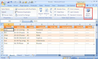EveryDay Solutions: MS Office Excel 2007 Insert and Quick Style Table