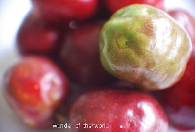 Timeless - thebookmann - Feinin: Caribbean Fruits - Governor's plum