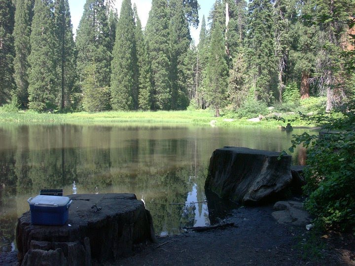 still life: Camping-Balch Park 2010