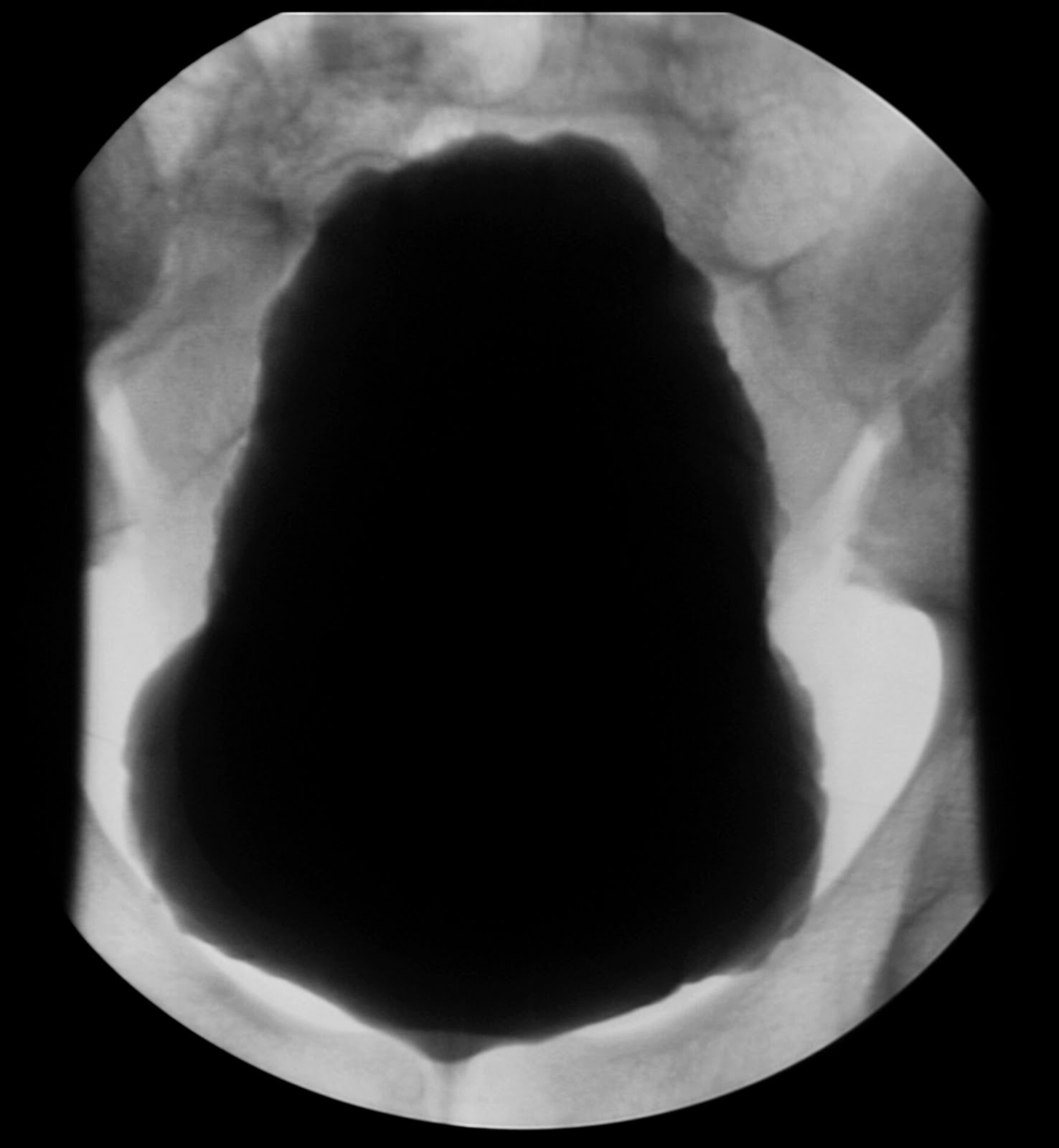 Radiologyspirit