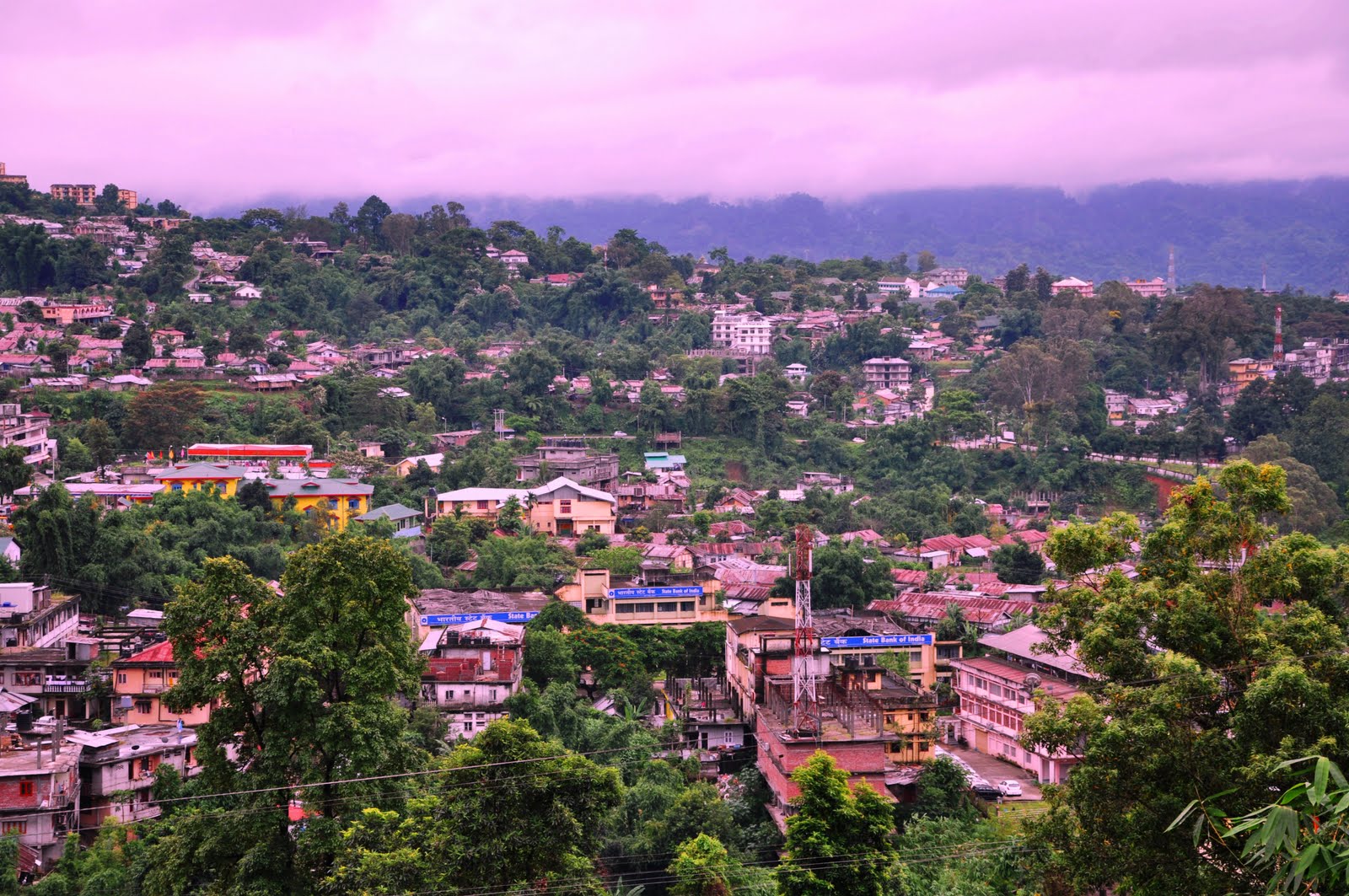 Dollar Chauhan: Itanagar