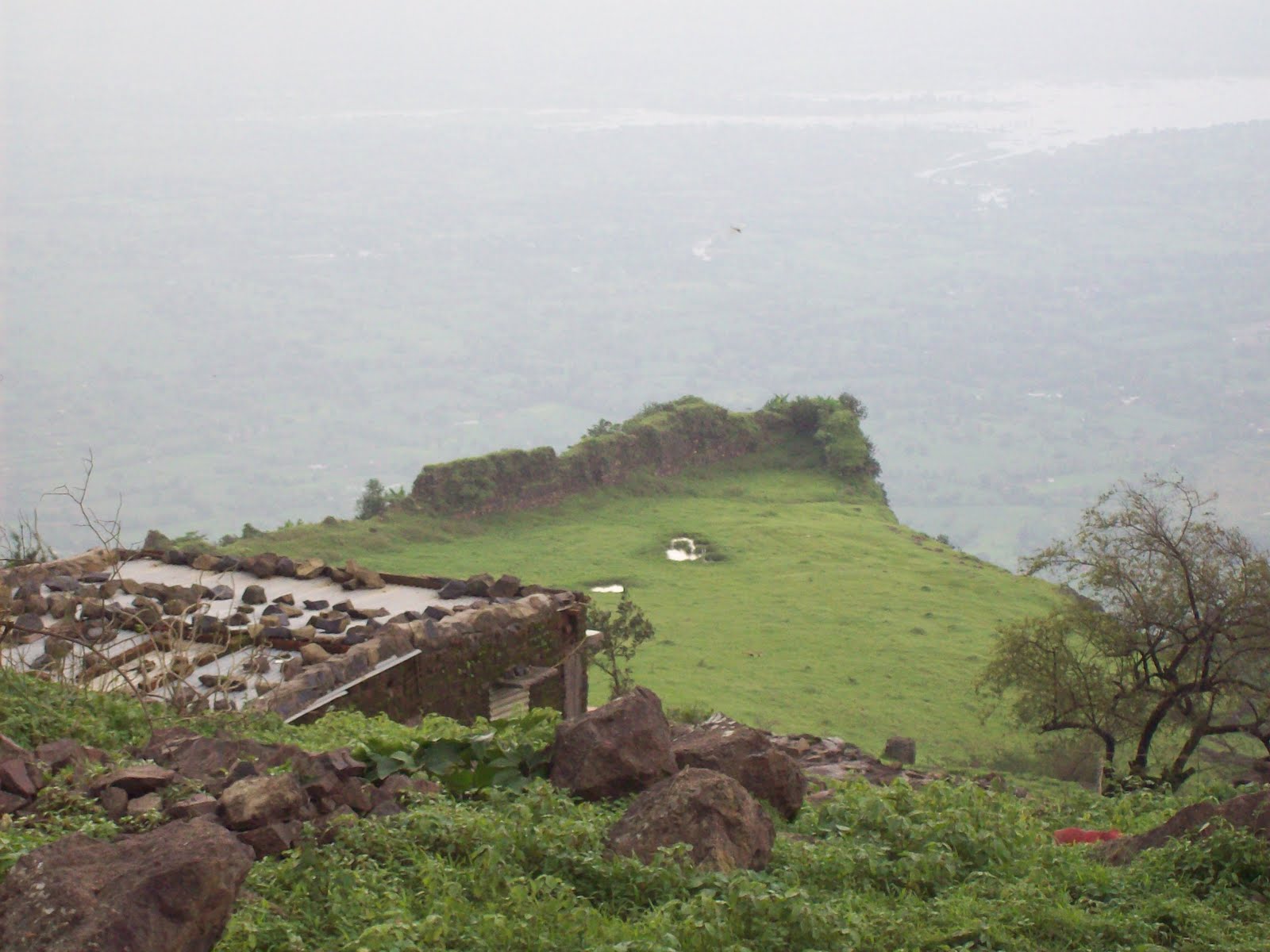 Dollar Chauhan: Pavagadh