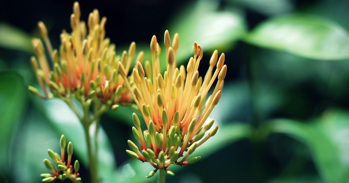 Buttered Up: Sunshine Toast, because there's sun.