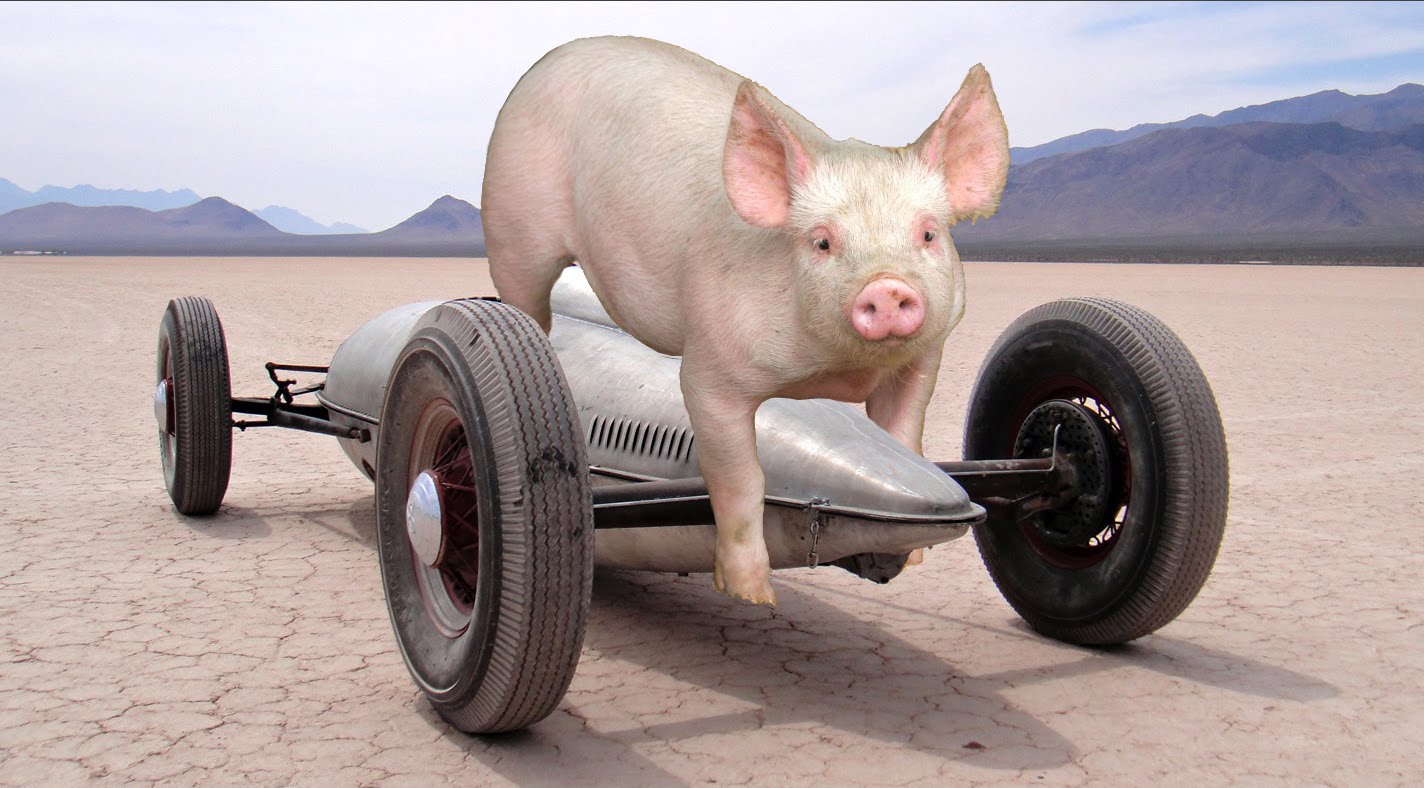 Kraptastrophe: Pig On Wheels