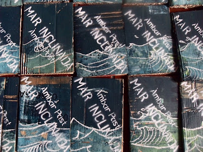 Atarraya Cartonera [Archivo digital]: diciembre 2010