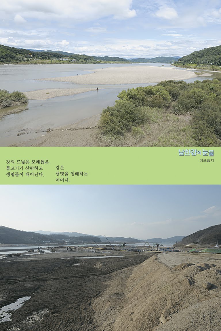 Save Wetlands in South Korea: Impacts of the Four Rivers Restoration ...
