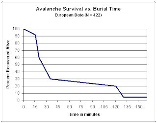 Peace's Asian studies Blog: Avalanche