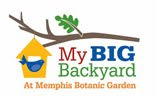 Girl Scouts Heart of the South: Campfire Parties in My Big Backyard