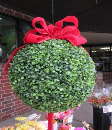 The Holly Ball - Shwin & Shwin