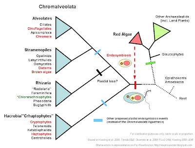 Skeptic Wonder: 09.2009