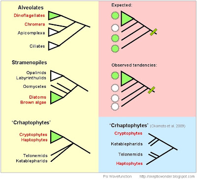 Skeptic Wonder: 09.2009