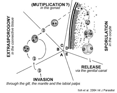 Skeptic Wonder: 2009
