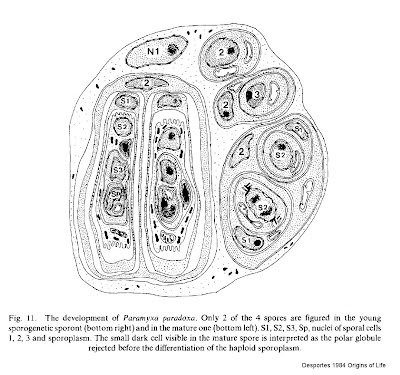 Skeptic Wonder: 2009