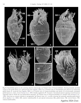 Skeptic Wonder: 12.2009