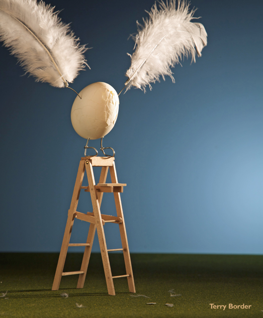 The Awesome Art Of Terry Border!