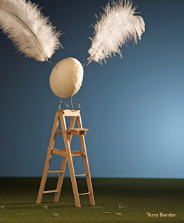 The Awesome Art Of Terry Border!