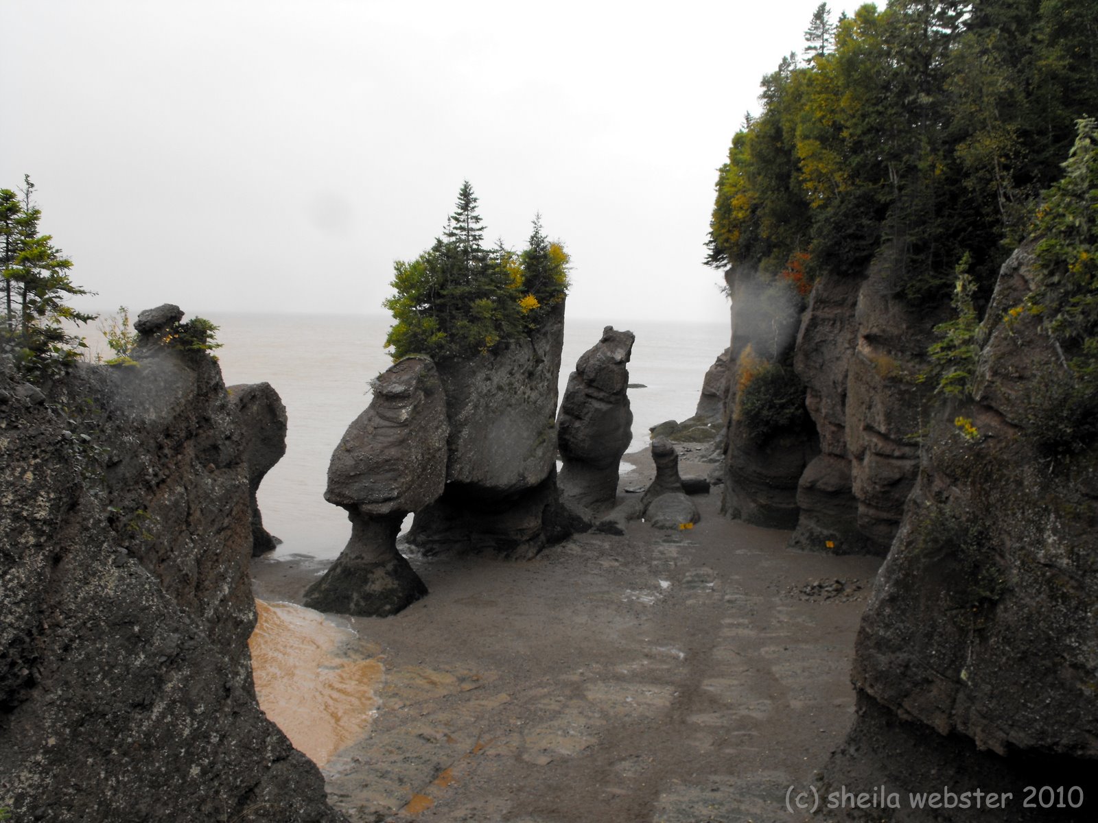 We Love RV'ing: Hopewell Rocks ~ New Brunswick ~ Canada