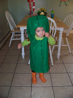 Amy DesRobert's Creations: Custom Order Pickle Costume!