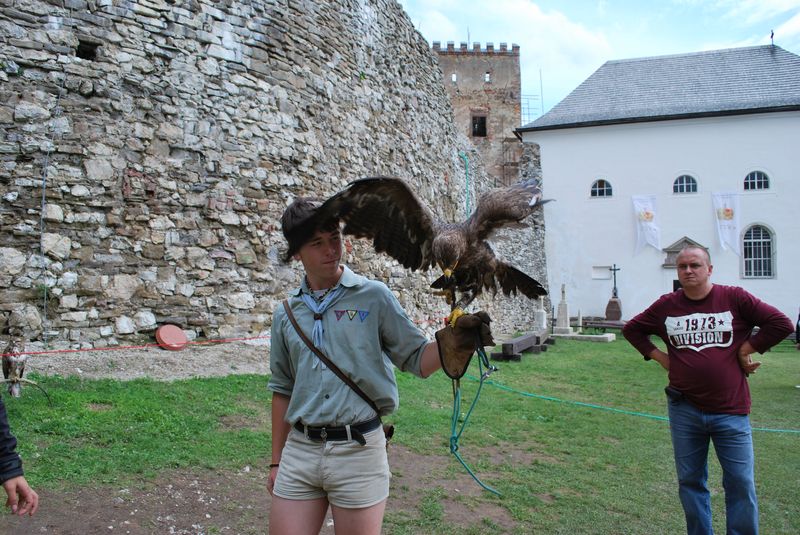 Boys in short shorts: Fit scout in fitting shorts and bird of prey