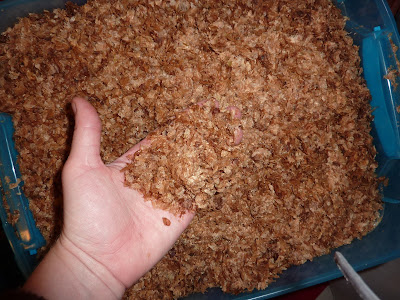 Life is good.: Coffee Chaff Chicks