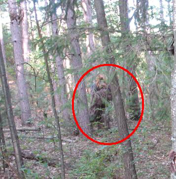 Misterios y Curiosidades: Pie Grande, Bigfoot, Sasquatch