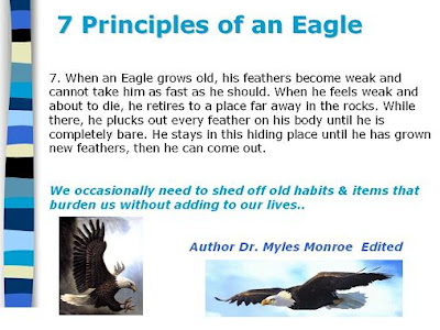 PROUD PLANTERS: 7 Principles Of Eagle