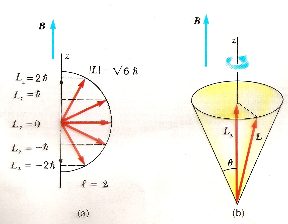 Brane Space: Advanced Physics Questions