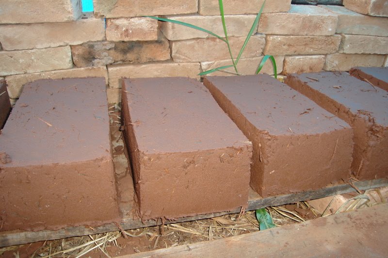 Casa do Igapó - Oficina de Bioconstrução: Mutirão / Oficina de tijolo ...
