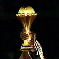 Summer's African Blog: 2010 Africa Cup of Nations