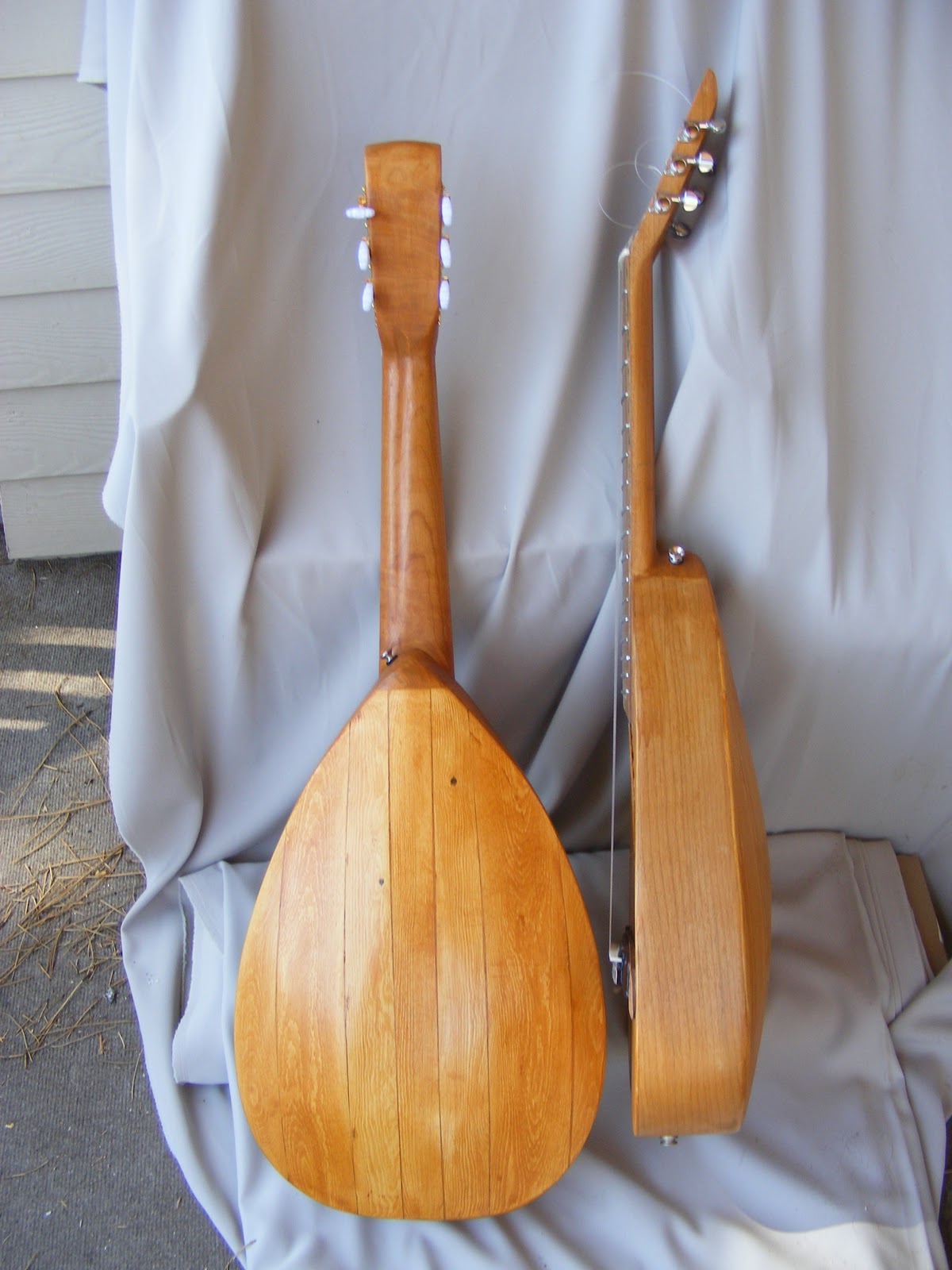 A Touch of Renaissance Photo Gallery: Three Lutes - late July to August ...