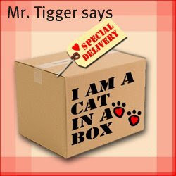 M-Cats Club: International Box Day with Mr. Tigger & Maverick