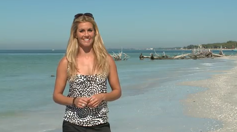 Buzz Worthy: Manatee County on Discovery Channel (for a price)