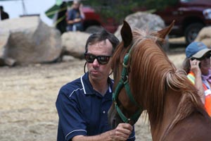The Equestrian Vagabond: 2010 Tevis: Mark the Trail and They Will Come