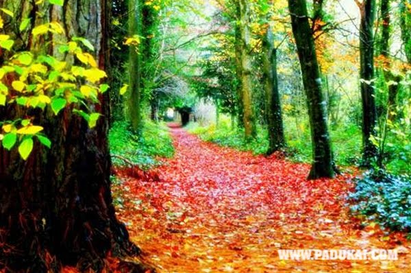 Win Min: Natural Beautiful Photography, Beauty of Natural Scenery ...