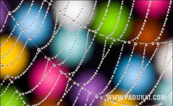 Win Min: Beautiful Colours Wallpapers, Best Colours Photo Collection ...