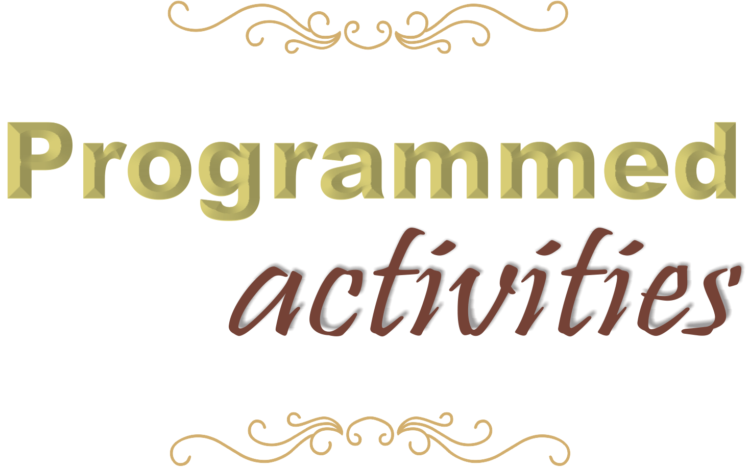 Bicentenary: Programmed activities