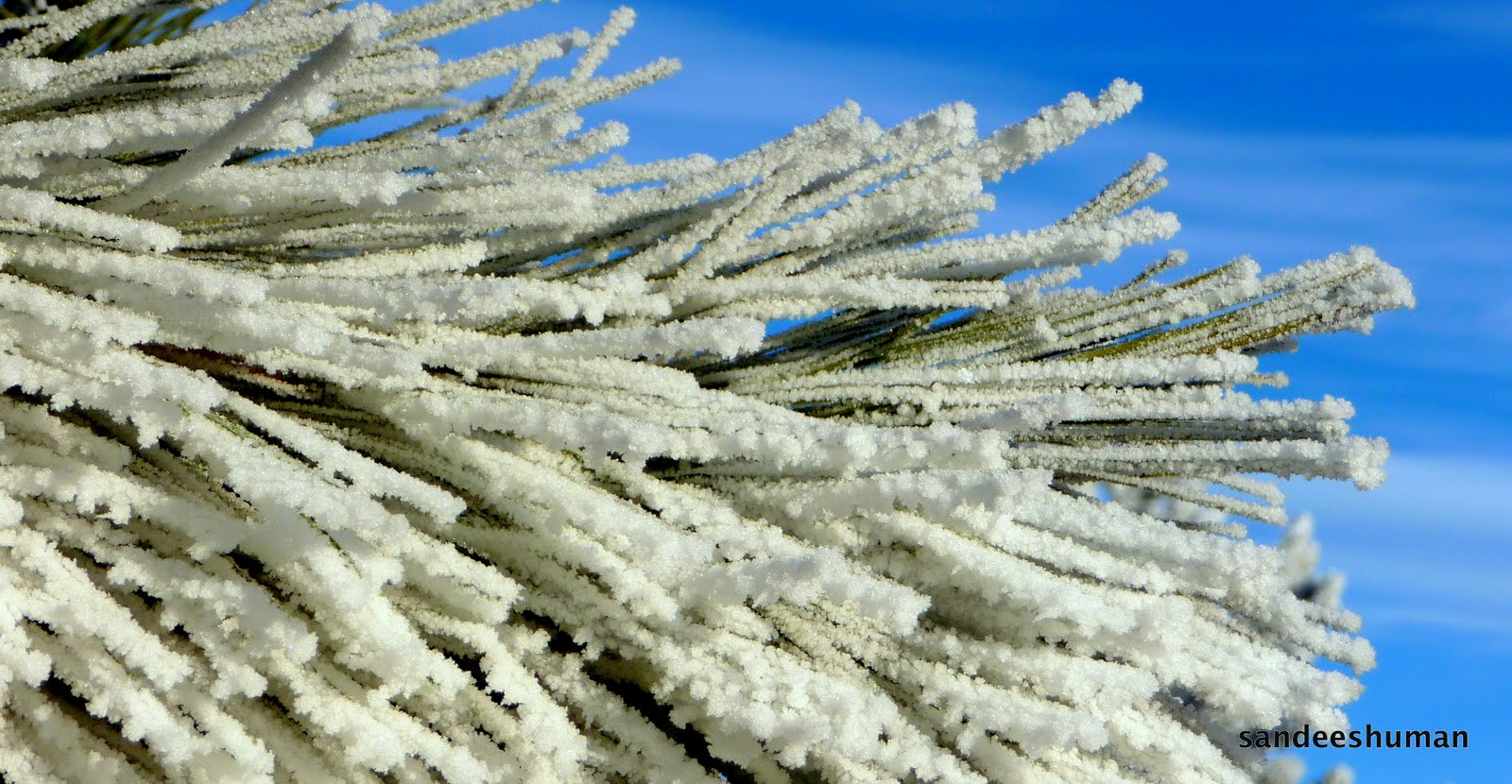 Shustrings: Hoar frost