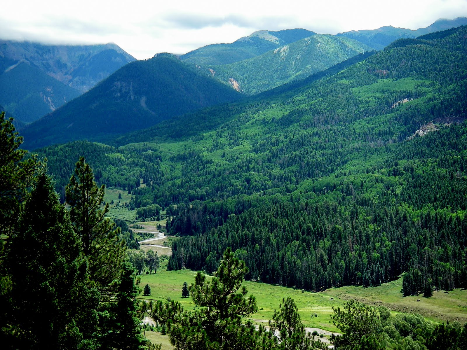 of Dry Flies & Fat Tires...: Treasure Mountain Trail