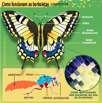 Biologia
