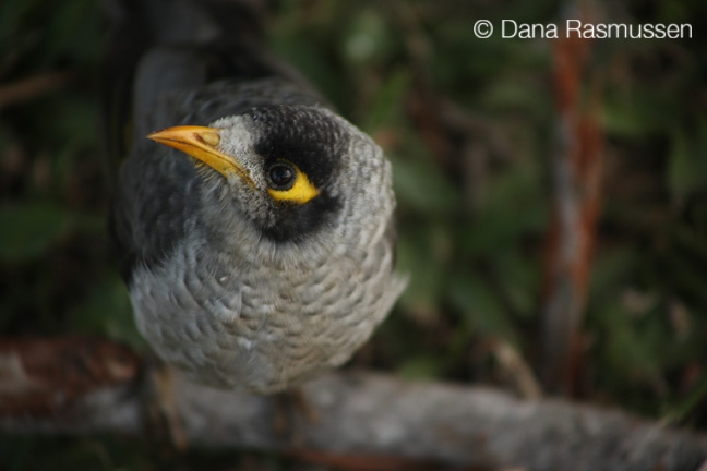 Photography by Dana Rasmussen