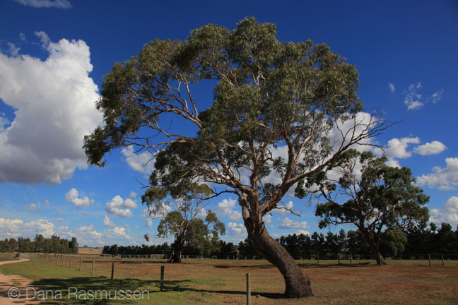 Photography by Dana Rasmussen