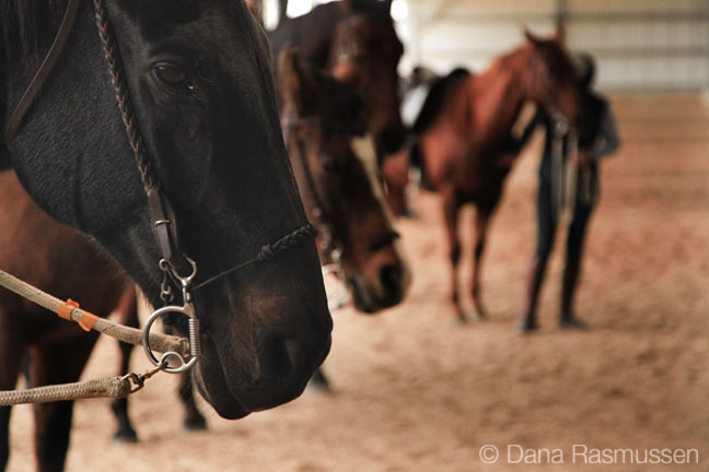 Photography by Dana Rasmussen