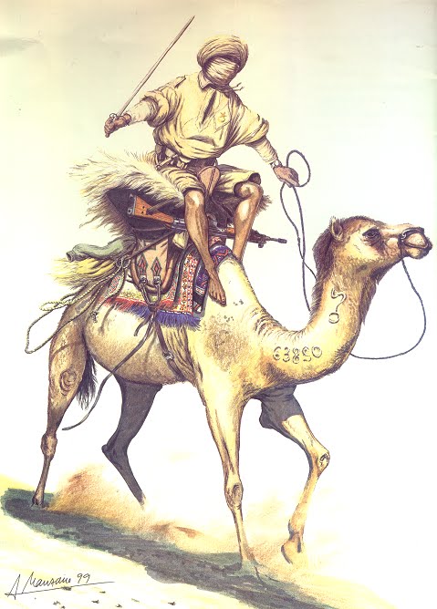 EJERCITOS DE ESPAÑA: TROPAS NOMADAS A CAMELLO. SAHARA ESPAÑOL.